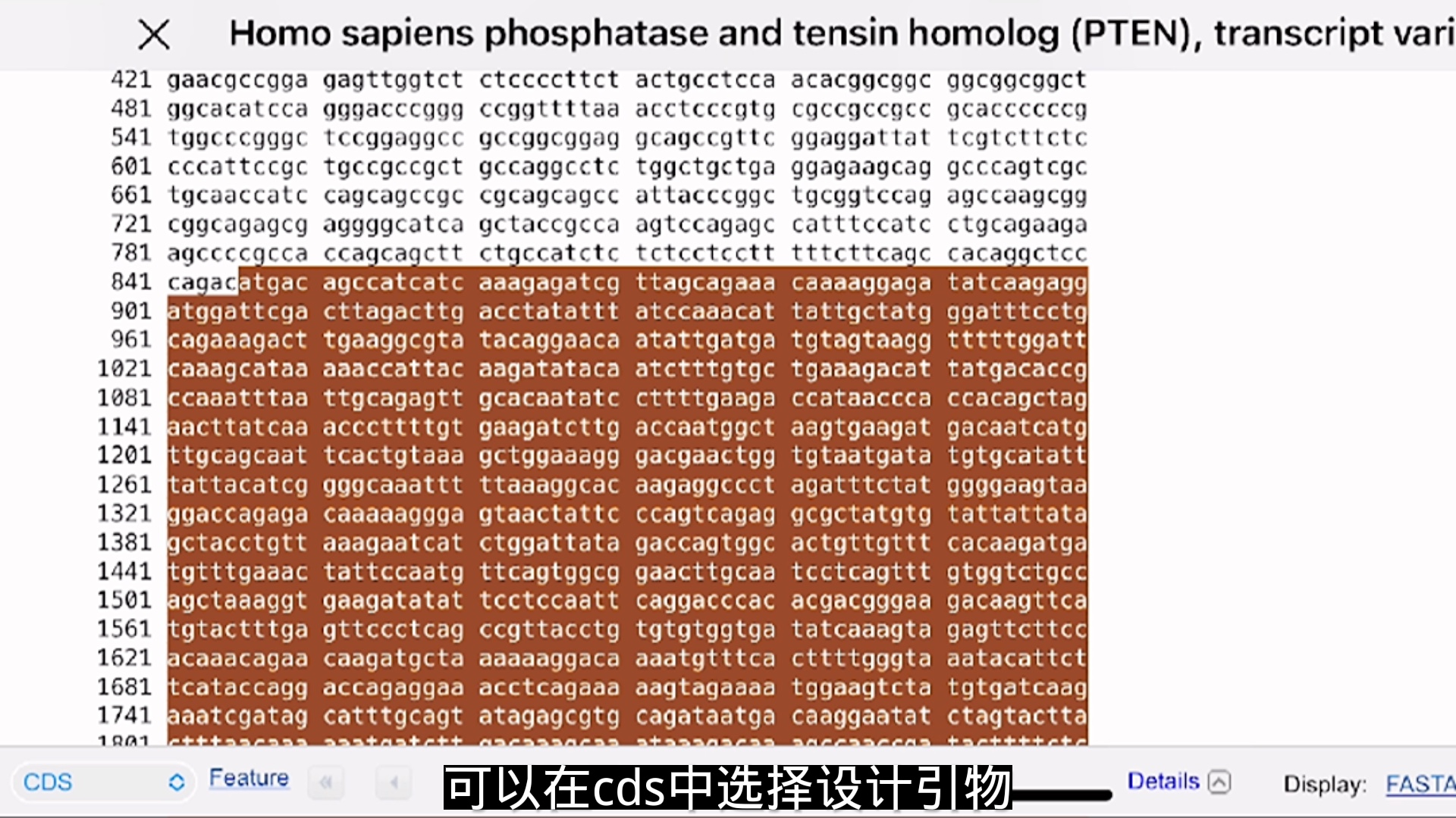 手把手教你(q)PCR引物设计,以录屏的形式展示NCBI设计引物的全过程,...