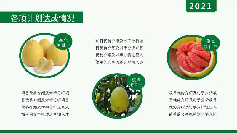 扁平化PPT模板绿色主题项目策划案通用