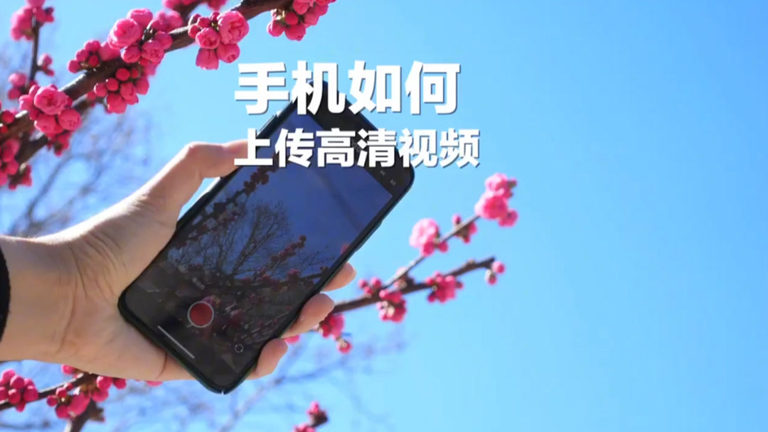 20秒教你手机如何上传高清视频