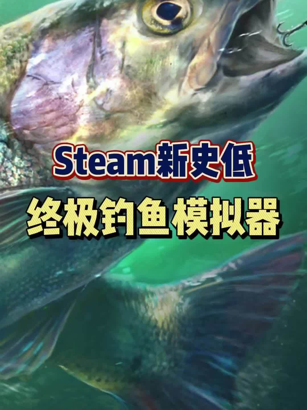 ...钓鱼模拟器新史低了啊,手感我觉得更好一些,支持手柄