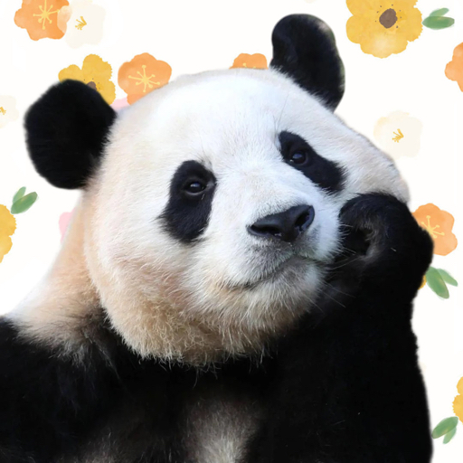 一只颓废的大魔王 