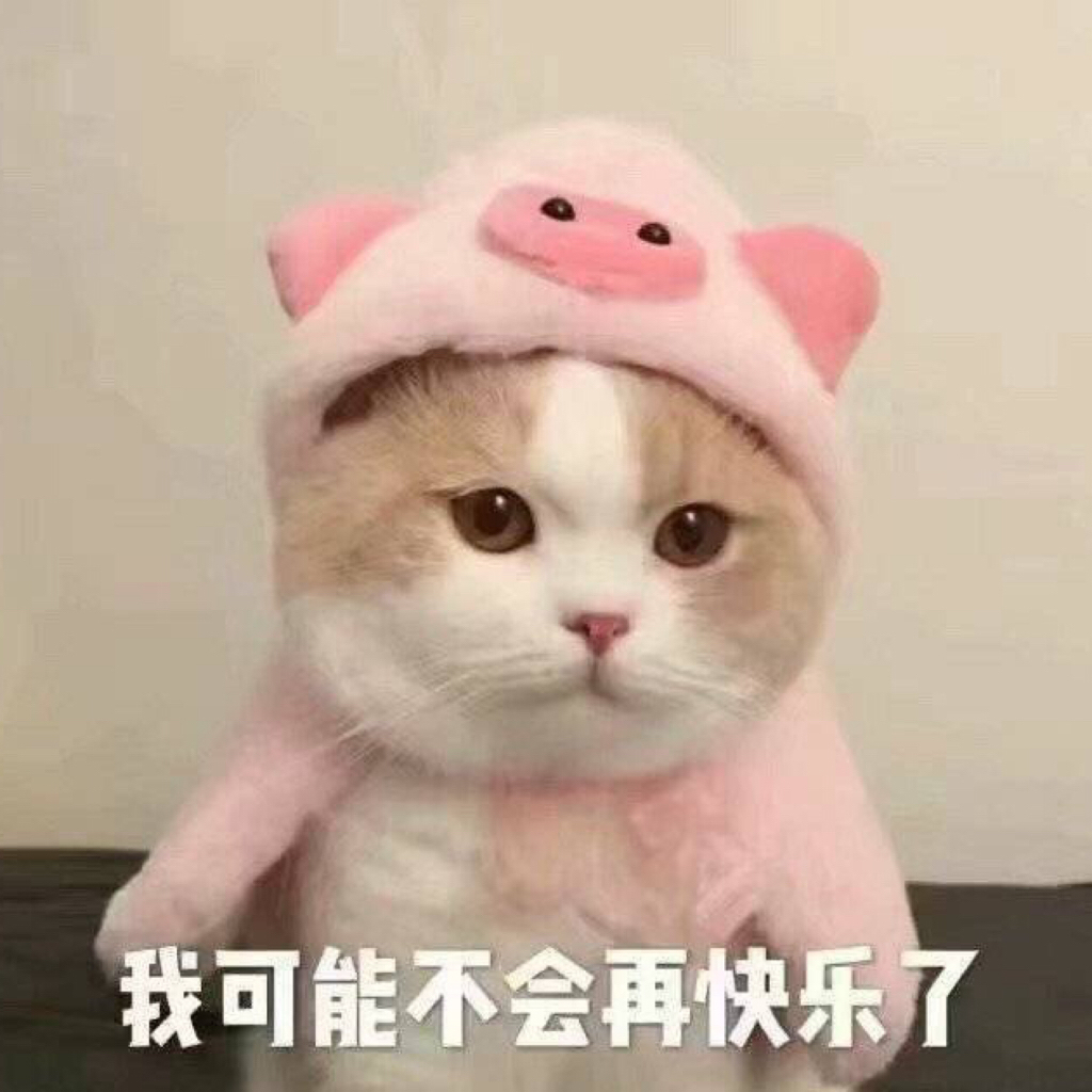 小他碎碎叨 