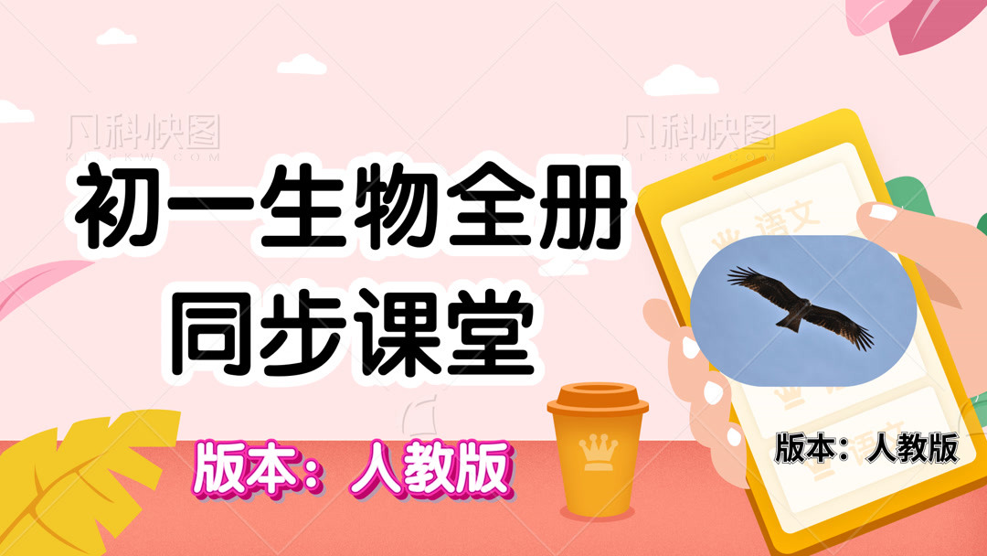 七年级下册 第四章 第三节 第1课时 心脏的结构