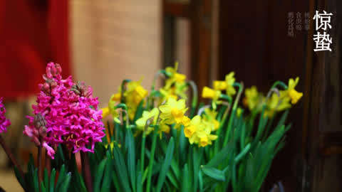 老安谈健康——疾病防治篇 惊蛰安宫牛黄丸正确吃法