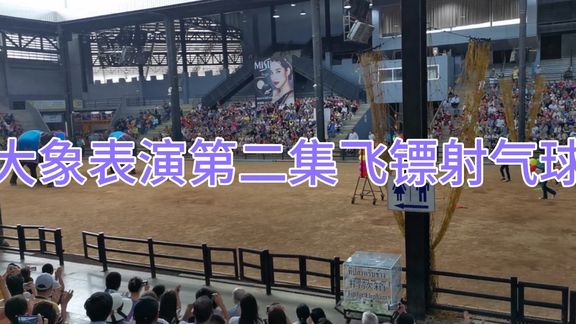 大象表演第二集飞镖射气球