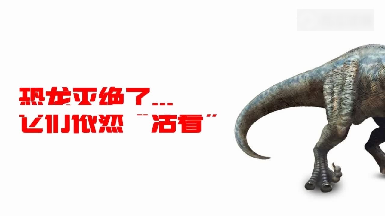 实体暴龙模型展品 - 吼叫的大恐龙