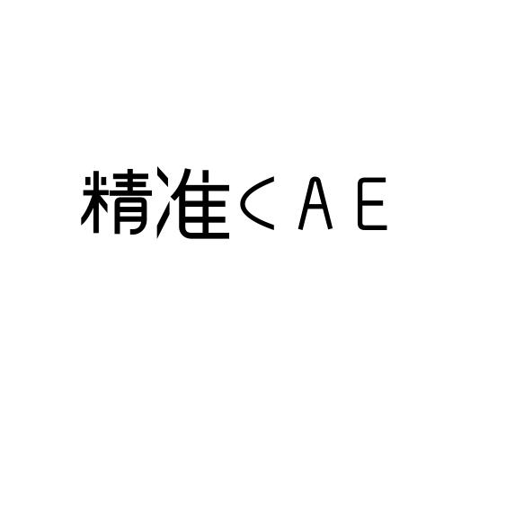 精准CAE 