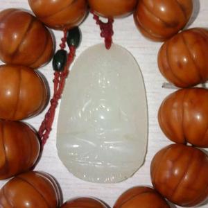 郓城双玉金蝉养殖 