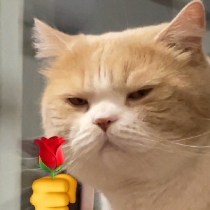 夏天过了冬天来 