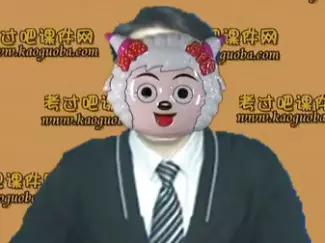 2012年咨询工程师《现代咨询方法与实务》二-考过吧课件网