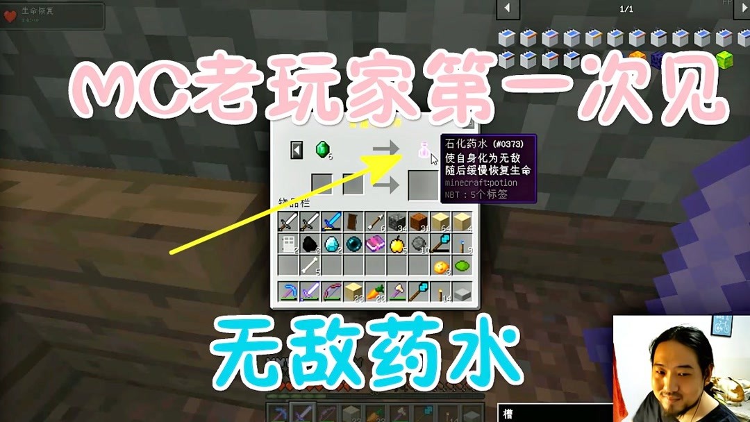 我的世界落草为寇33 冰雪岛的村民卖无敌药水,我是第一次见到