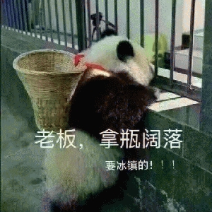 爱喝冰阔乐的小羊 