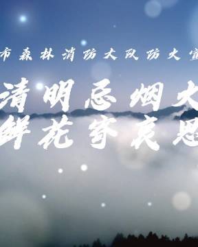 ...为巩固疫情防控和野外用火安全防线,福建森林消防提醒大家:守护生态...