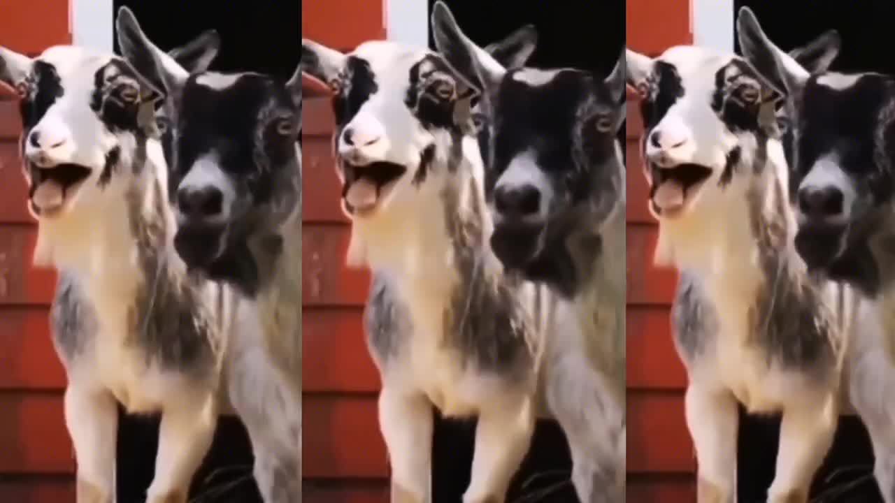 迷你世界:不同地区玻璃的硬度!大和的一碰就碎,炎黄的坚如基岩