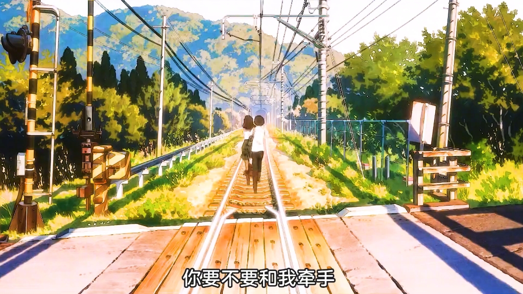 让我看看你看到的世界吧