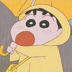 沈局梅段东风110135 