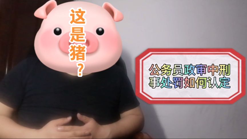 行政拘留、刑事拘留是否影响公务员政审?政审中刑事处罚如何认定