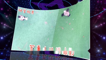 红领巾动感研学营 活动掠影(四)ߘ�ߤ�ߑ