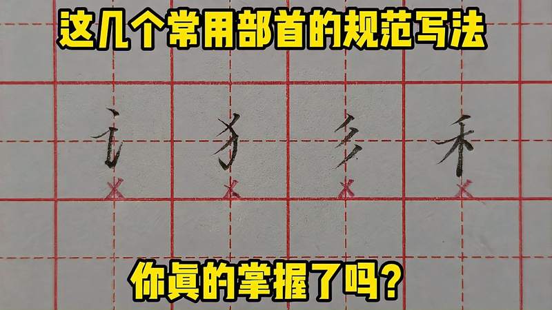硬笔楷书基础练习,这几个常用部首的规范写法,你真的掌握了吗?