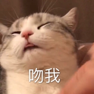 秋水明眸若星辰 