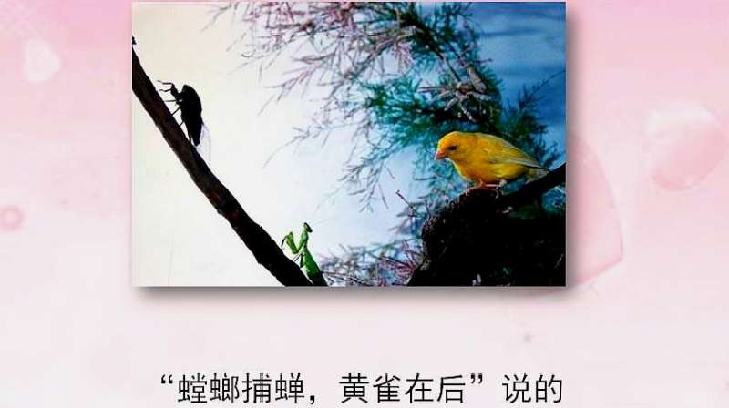 生物八年级下册4.2《食物链和食物网》考点精讲