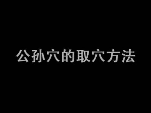 100公孙穴~1