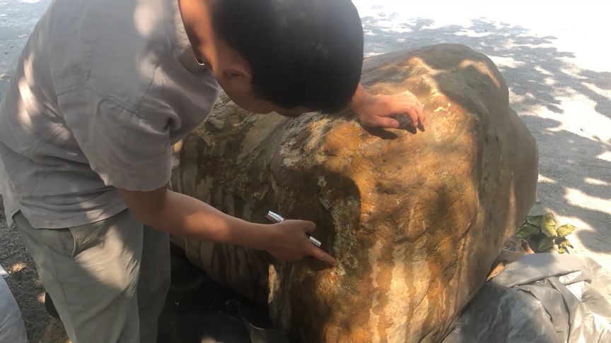 无数人吃大亏的翡翠猫腻,数十吨的翡翠竟然不值钱?学问在哪里?