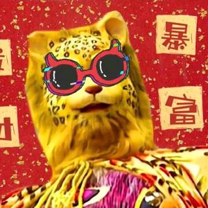 猫寻大大 