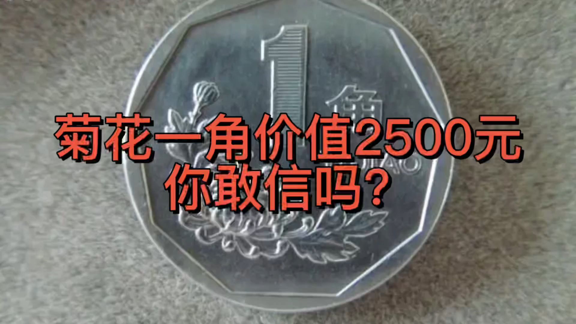 菊花一角价值2500元!你敢信吗?
