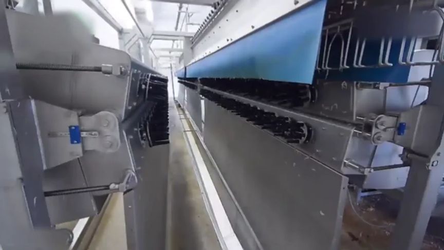 德国工业4.0强大的全自动化杀鸡技术,产能高达6000只/小时!①