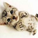 超爱骑行的青阳寄柔 