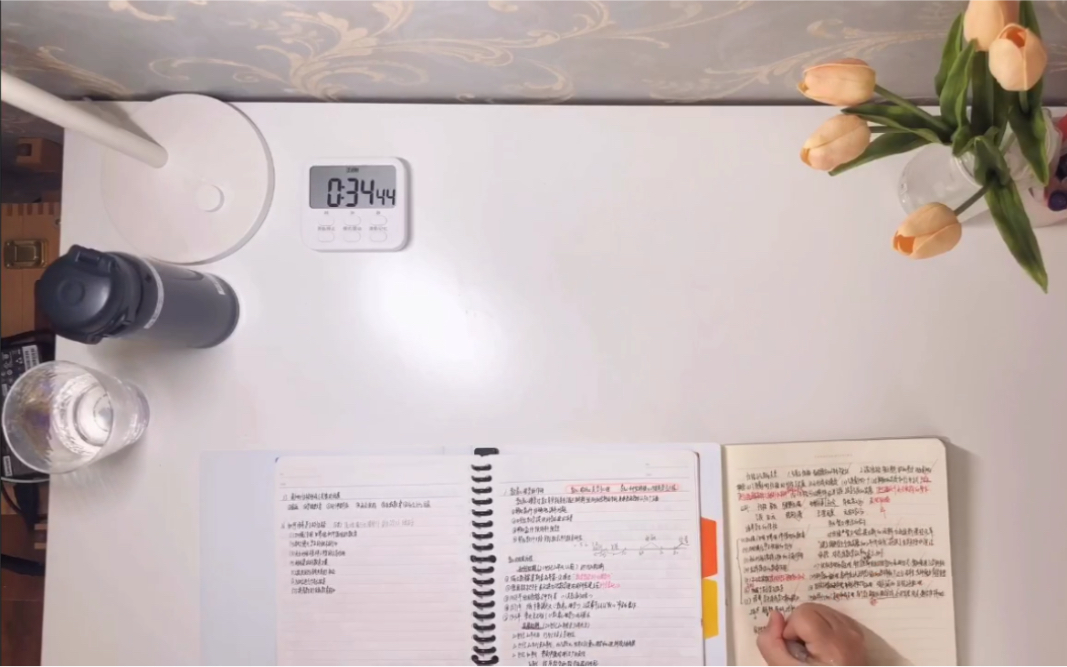 study with me/艾宾浩斯记忆法/在职备考教师招聘 /day69