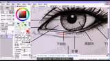 ...眼睛的结构转手绘视频教程转手绘超详细教程SAI转手绘教程鼠绘教程
