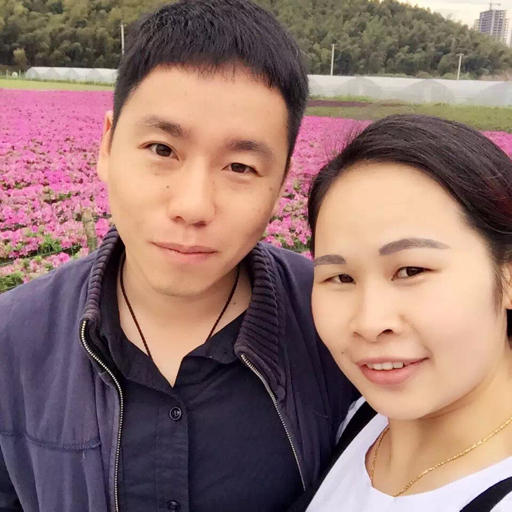 琴妹和荷姐 
