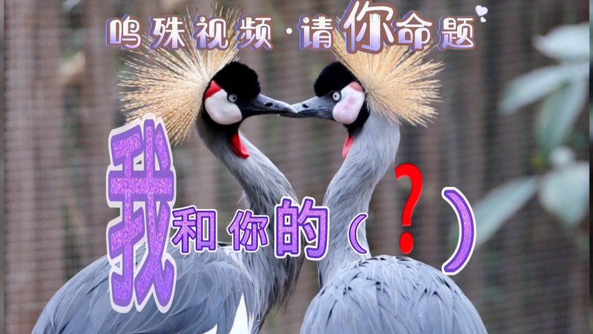 请您命题:我和你的(❓)