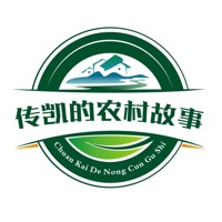 传凯的农村故事 