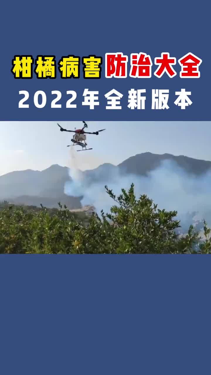 ...柑橘病害大全,周老师呕心沥血整理,希望对果农有用!#新农人计划...