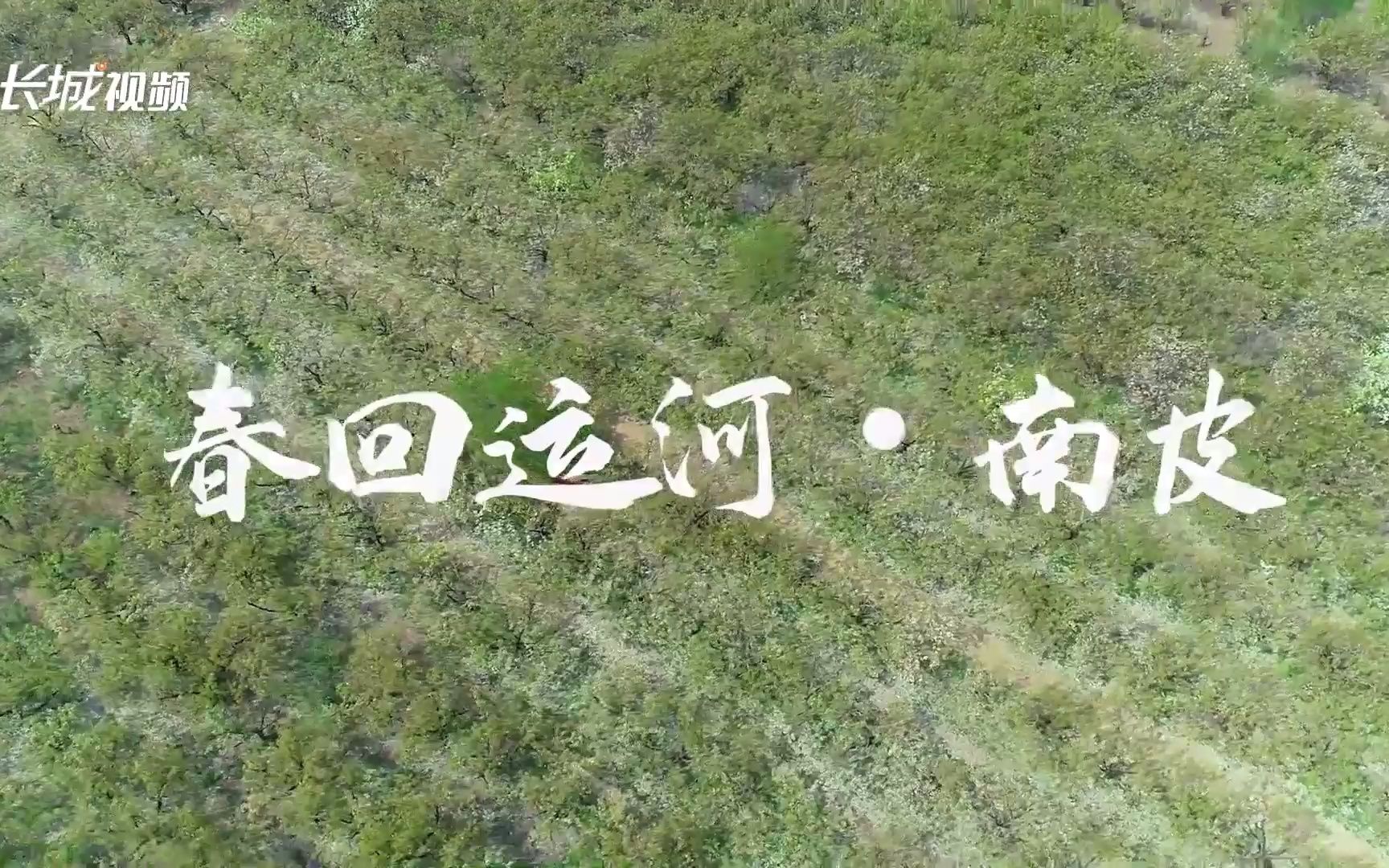 春回运河 |河北沧州南皮: 晚清名臣张之洞故里春意浓