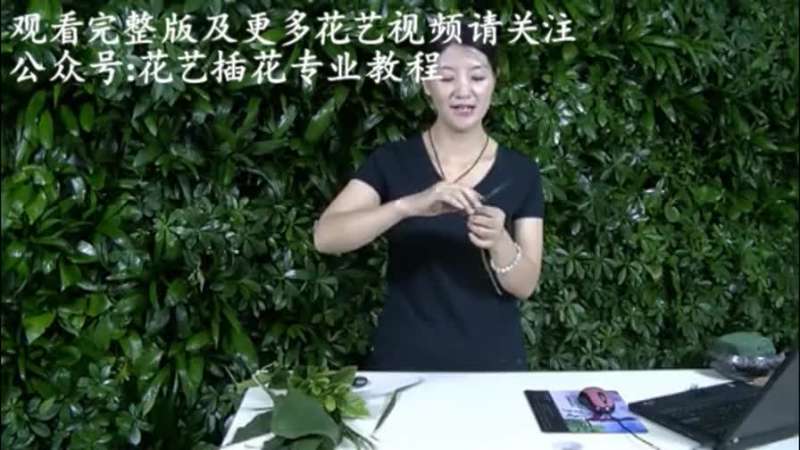 插花视频教学 入门插花基础教程 无基础插花培训课程视频