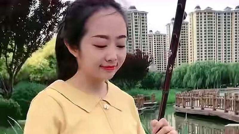 二胡独奏《挡不住的思念》