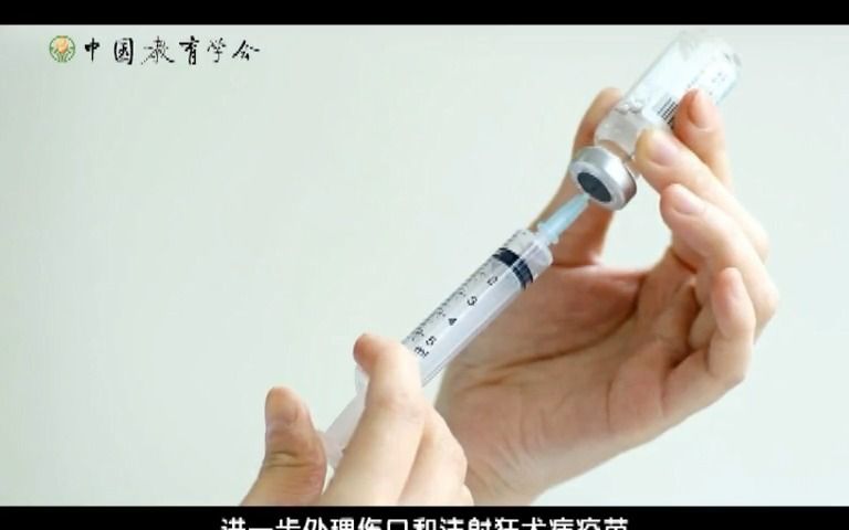 中小学生安全教育 小学五年级 15 宠物安全(下学期)