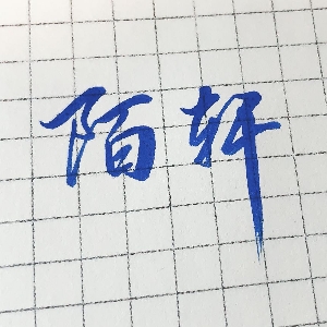 青春是一个昂贵的梦 