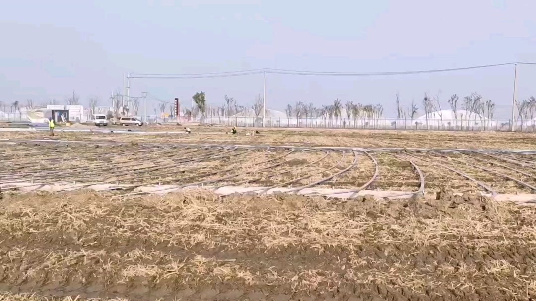 半坡暖棚安装现场绿城温室大棚