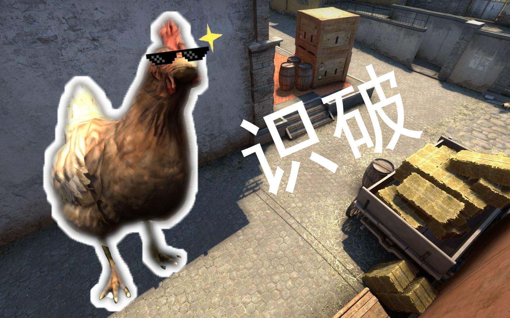 【csgo】沙雕时刻,鸡早已看穿一切。