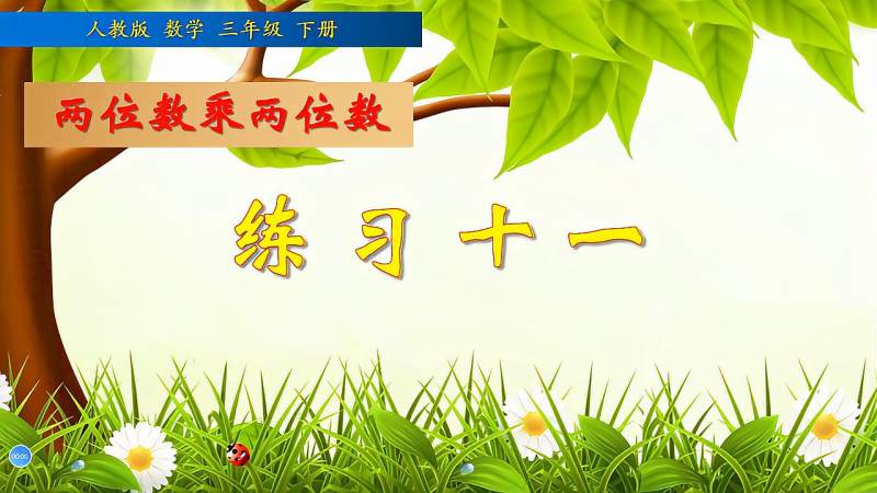 三年级数学下册《两位数乘两位数巩固练习11》,做练习,巩固知识