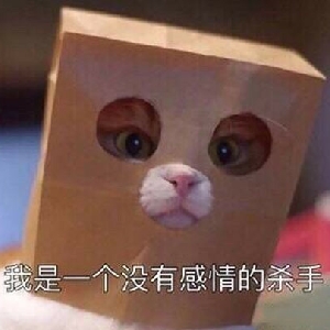 峰哥峰哥你快回来 