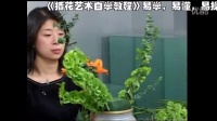插花入门教学视频4.学插花秀赠书画无基础插花教程