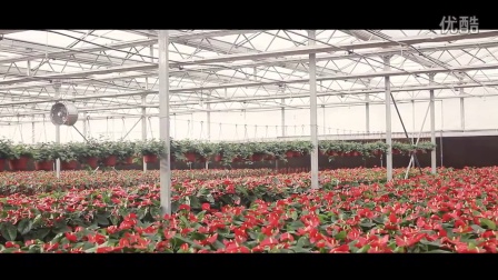 陕西馨盛花卉苗木科技有限公司企业宣传片