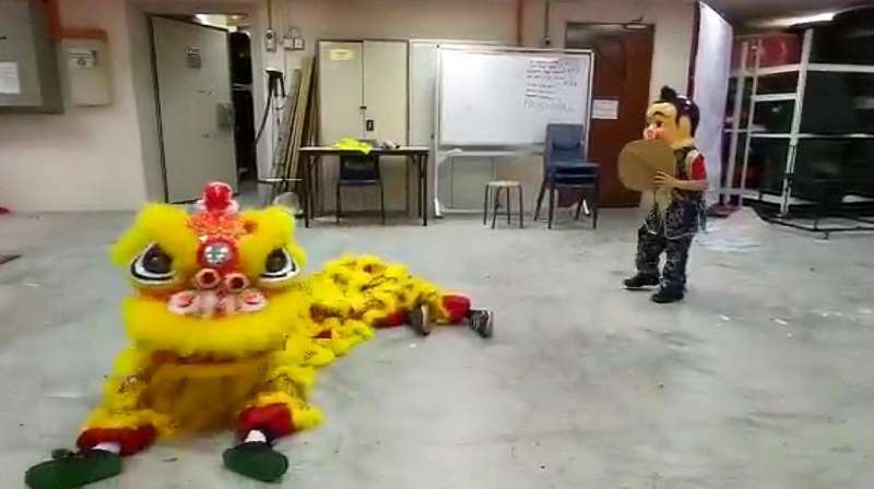 这是我见过最小的舞狮子,标准的舞狮动作,打鼓动作也很到位