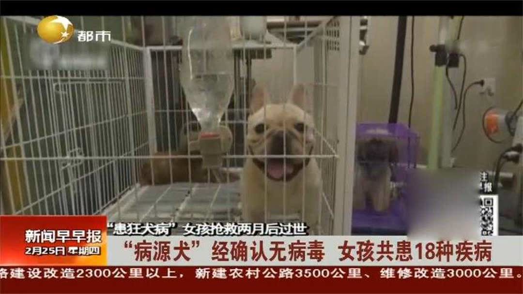 "病源犬"经确认无病毒 女孩共患18种疾病